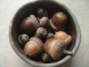 Harvesting Eggcorns: Watching Your Figures (of Speech), Part 2 – Online ...